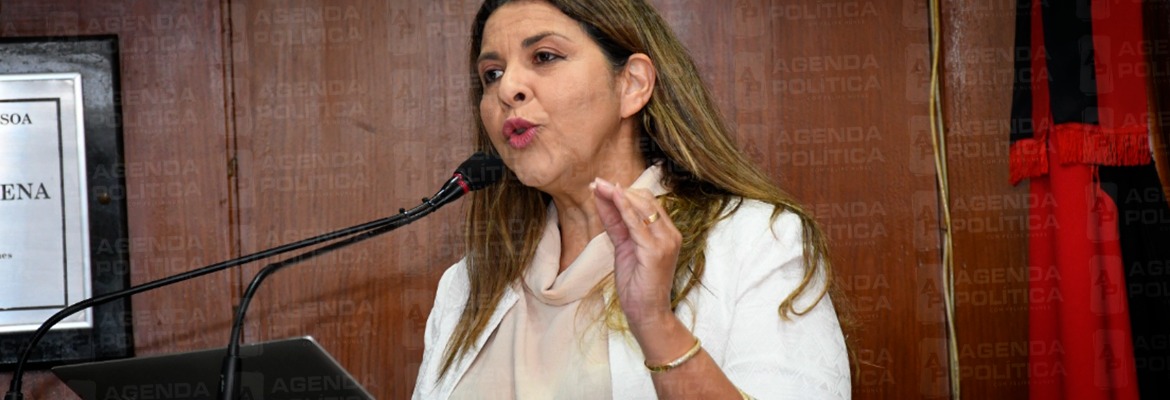 Eliza apresenta requerimento a Cícero por manutenção de modelo cívico ...